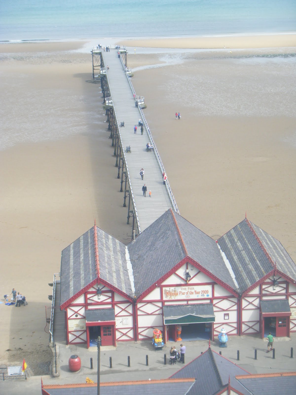 The Fat Singlespeeder: Errington woods Upletham Saltburn