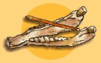 instrumentos musicales Isla De Pascua: Instrumentos Musicales - Kauaha