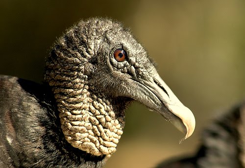 Ugly Overload: Get ready to party