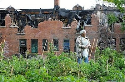 The Rag Blog: Sustainability : Transforming Detroit