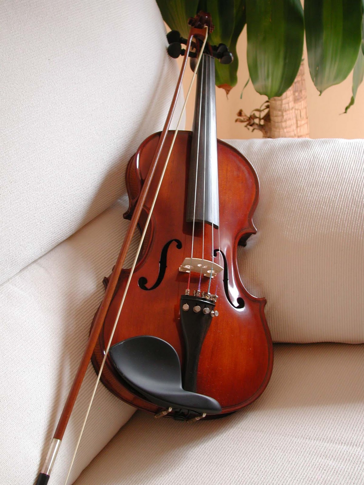 El Violin y su Musica