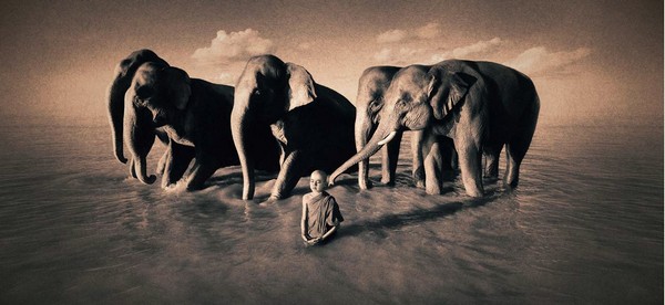 OJOS CALEIDOSCOPIO: GREGORY COLBERT
