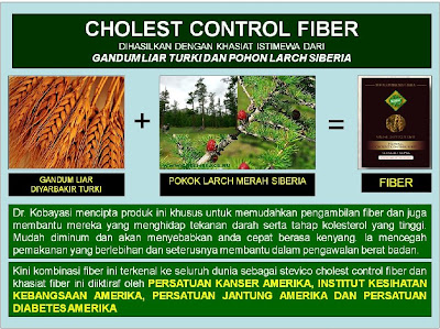 Stevico Products – Cholest Control Fibre | Healthy Living with Stevico ...