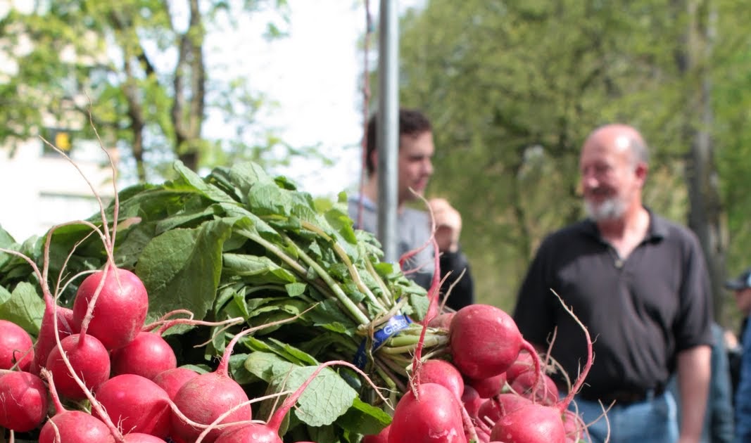 Hungry Cravings: Radish