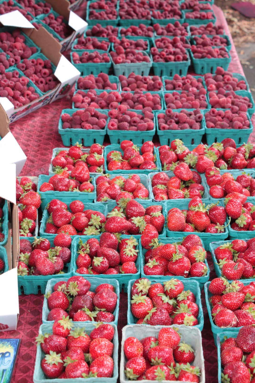 Hungry Cravings: Mixed Berries