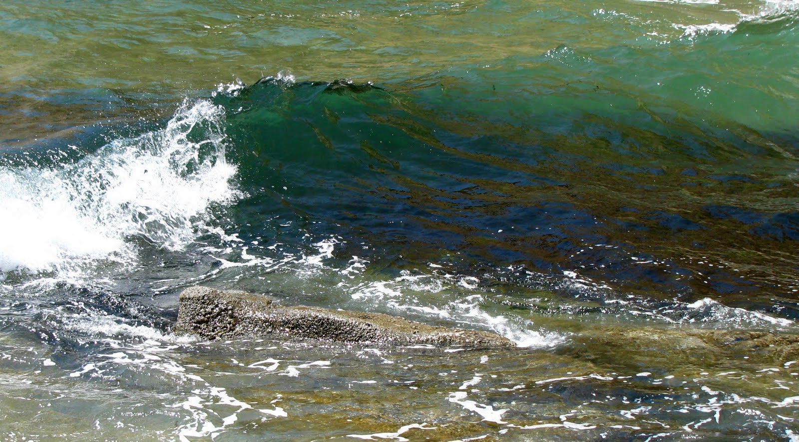 Expect the Unexpected: Dory Boats, Starfish and Ocean Waves