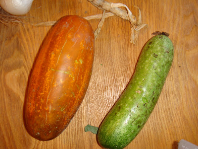 Zoe's Garden Community Supported Agriculture: Fuzzy Vegetables and ...