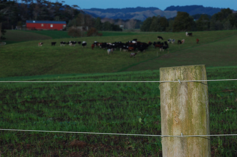 Best of the photography forums - tutorials: Creating separation