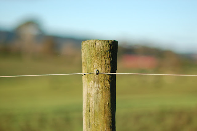 Best of the photography forums - tutorials: Creating separation