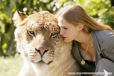 Integrated Project-Based Homeschool Approach: Liger Article Based on ...