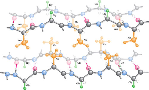 BioLoGía De La CéLuLa: Aminoácidos y Polipéptidos --> Estructura y Función.