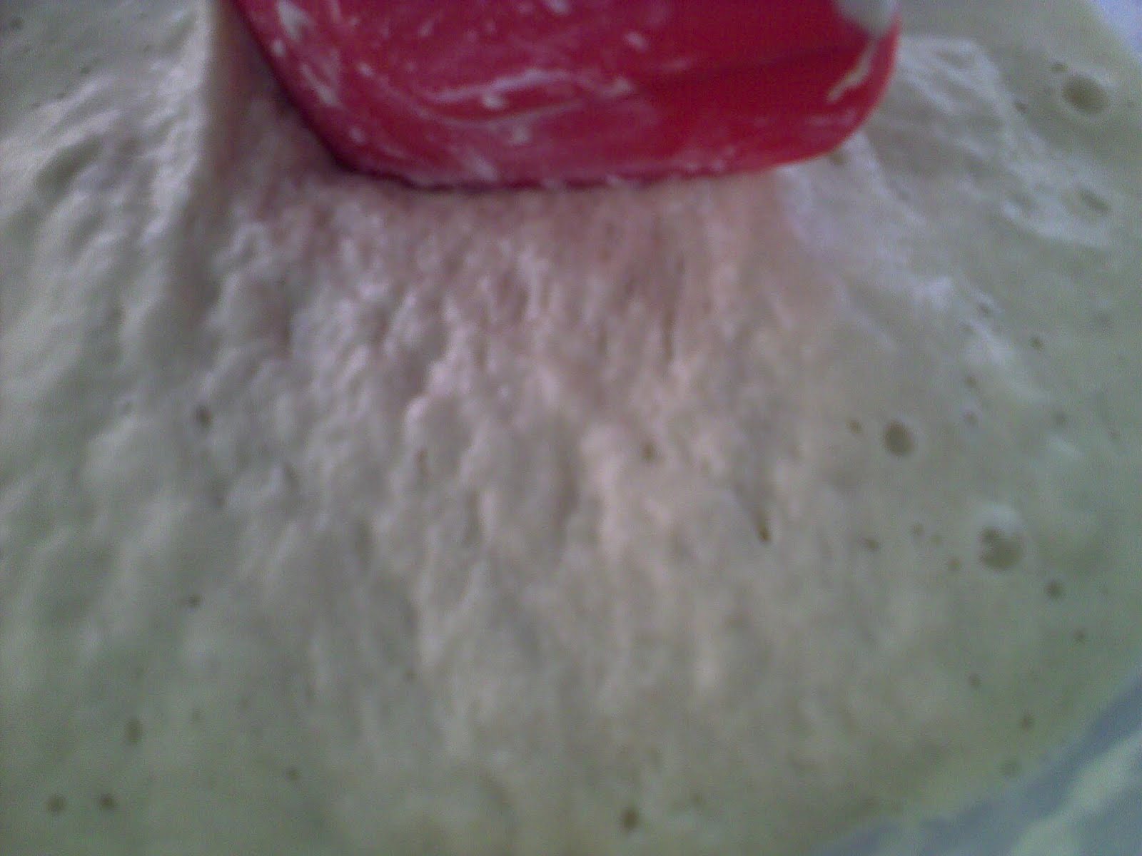 SPONGE&DOUGH/LEAN DOUGH ARTISAN STYLE