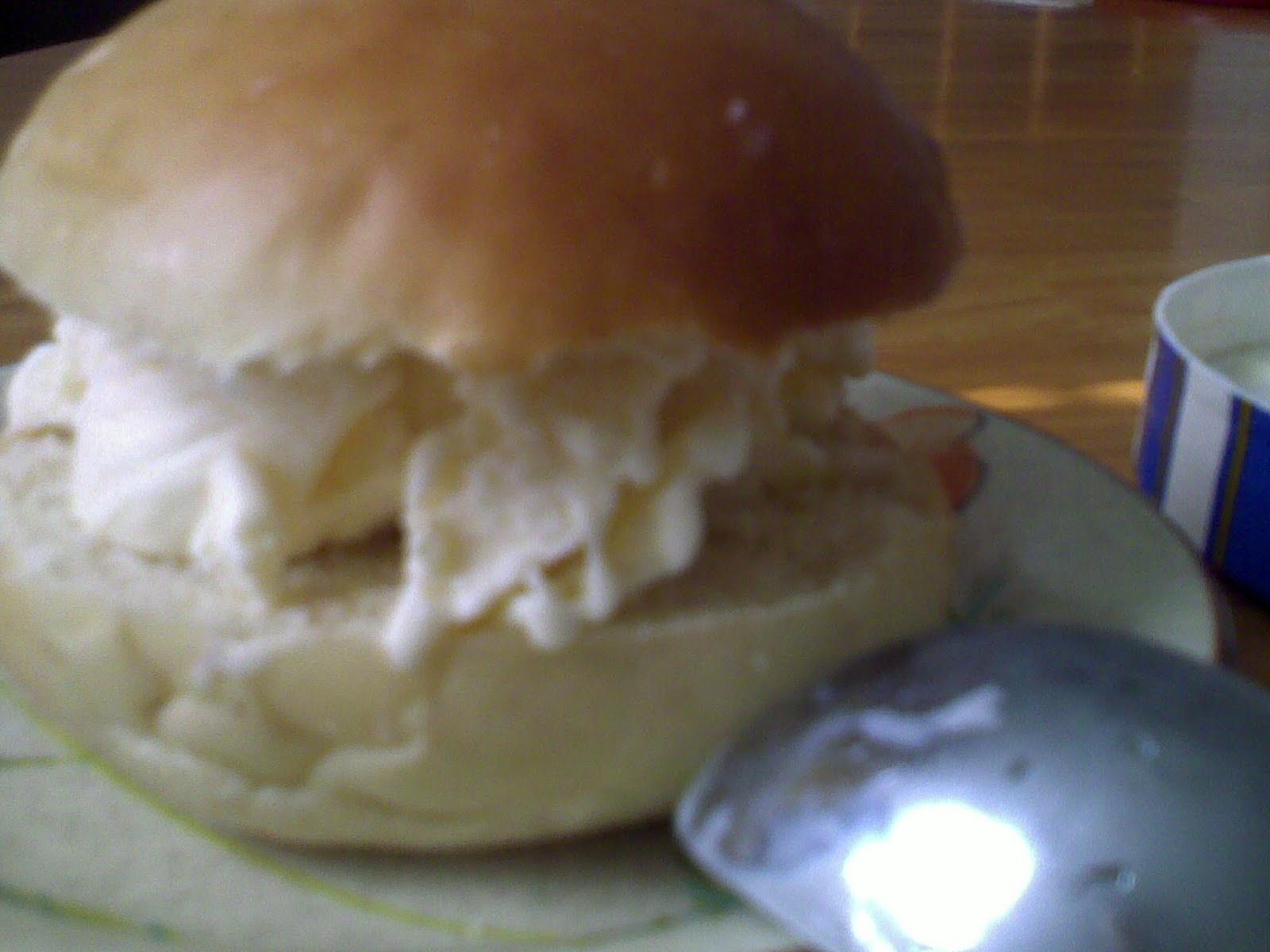 ICE CREAM IN A BUN???