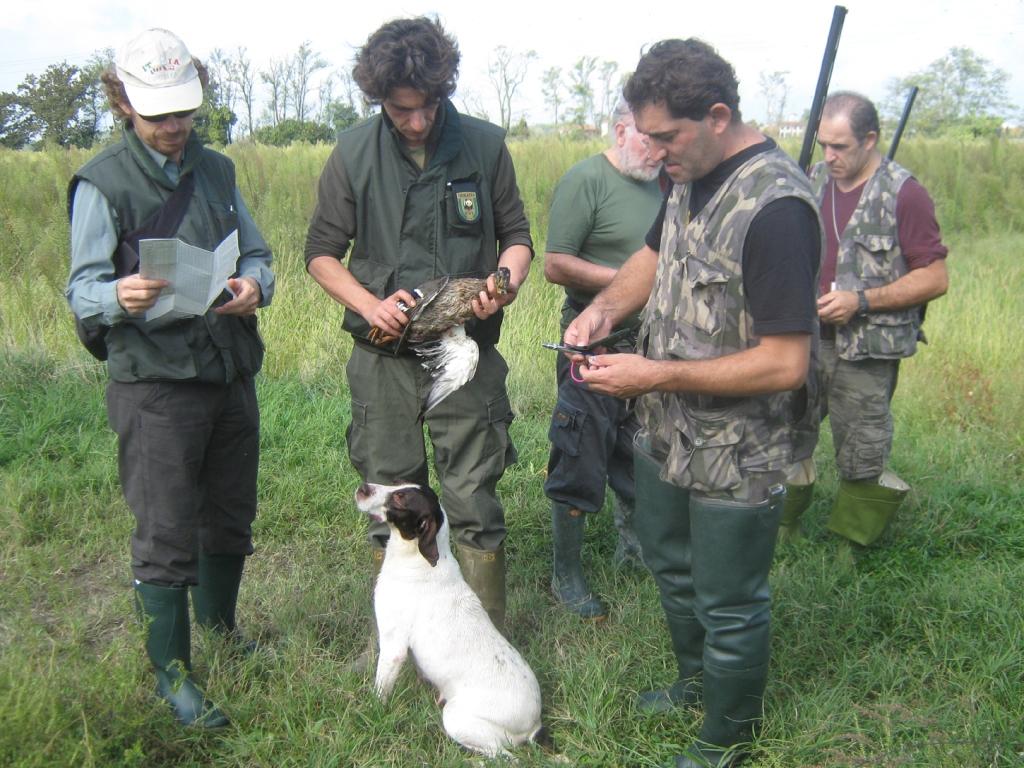 SIoNO - il magazine/ Blog: Parco Sud, WWF a caccia di…cacciatori
