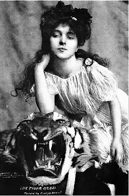 Sanctuaries, Dreams and Shadows: Evelyn Nesbit, Supermodel of le Belle ...
