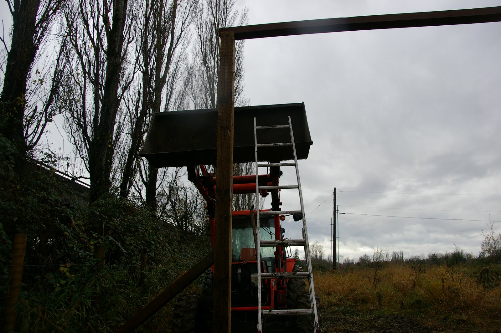 meat: Sacrifice paddock -- fencing