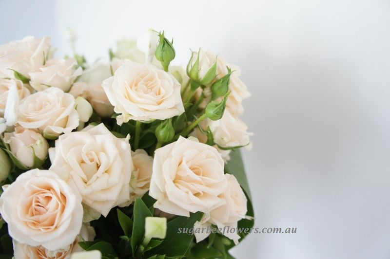 Sugar Bee Flowers: Apricot spray roses