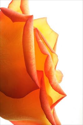 Welcome: Photo Website ~ Declan McCullagh