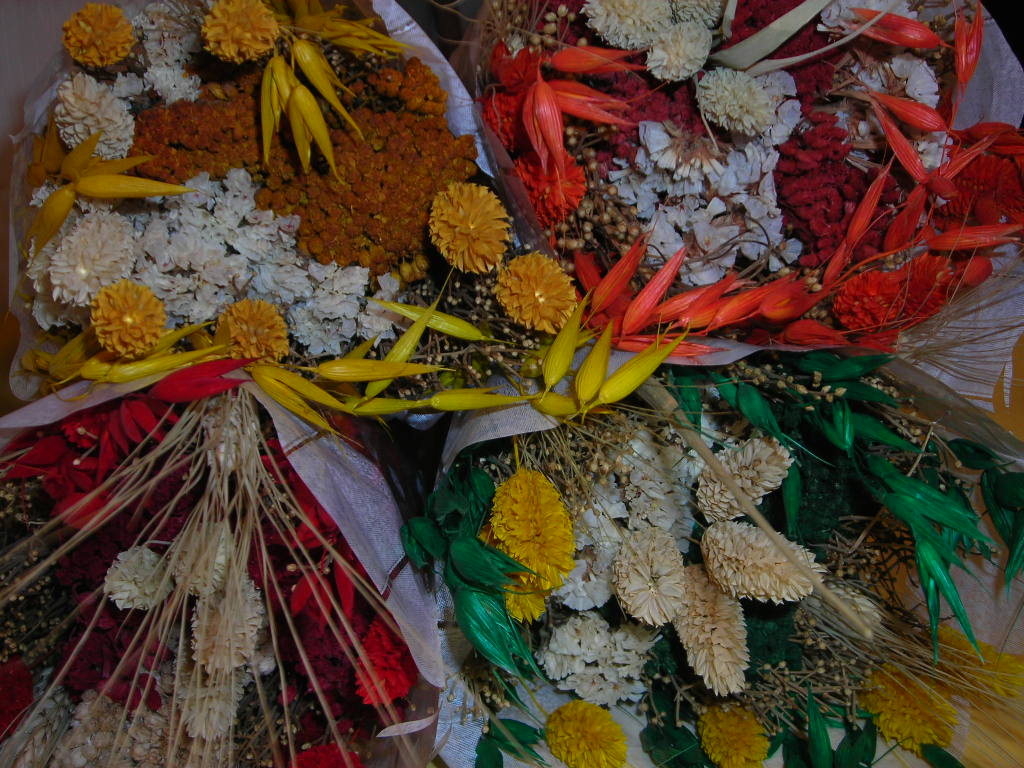 El Tigre en Pueyrredon: FLORES DISECADAS