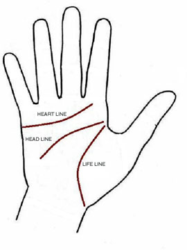 DESTINY COACH: PALMISTRY - THE SIMIAN LINE