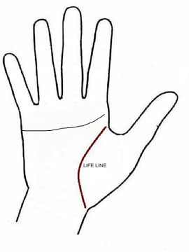 DESTINY COACH: PALMISTRY - THE SIMIAN LINE