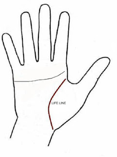 DESTINY COACH: PALMISTRY - THE SIMIAN LINE