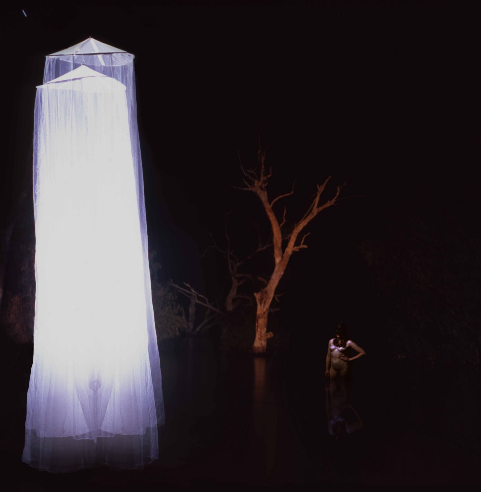 ozphotoreview: Visions of Steel, Flesh, Fire and Ice