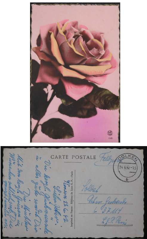 April In Paris Diary Of A Rescue Dog Turned Diva