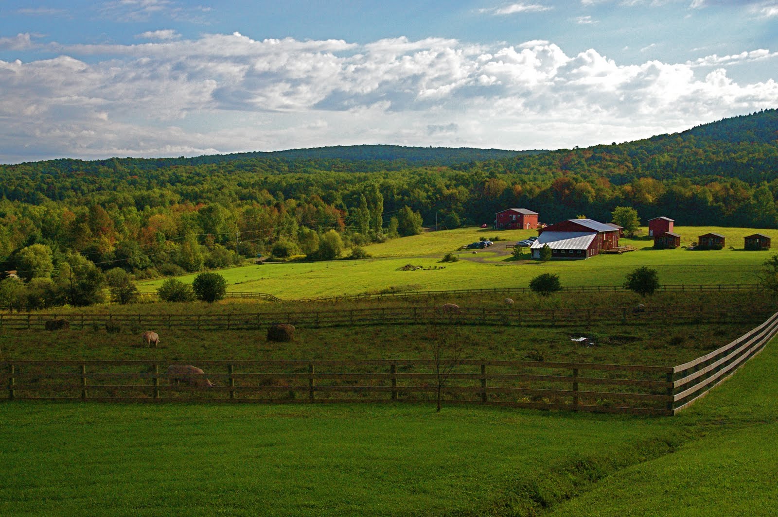 A Gift from Spotsylvania: A Beautiful Farm