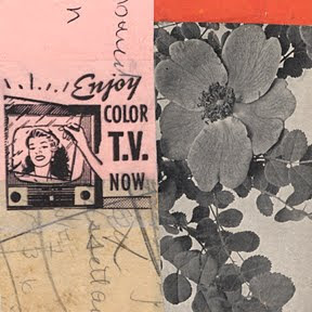 A Collage A Day: May 2010