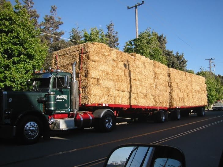 jessee's spot: hay truck