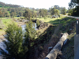 Nannapop N.S.W. And ACT Return to Main Site: 10th August 2007 - Swamp ...