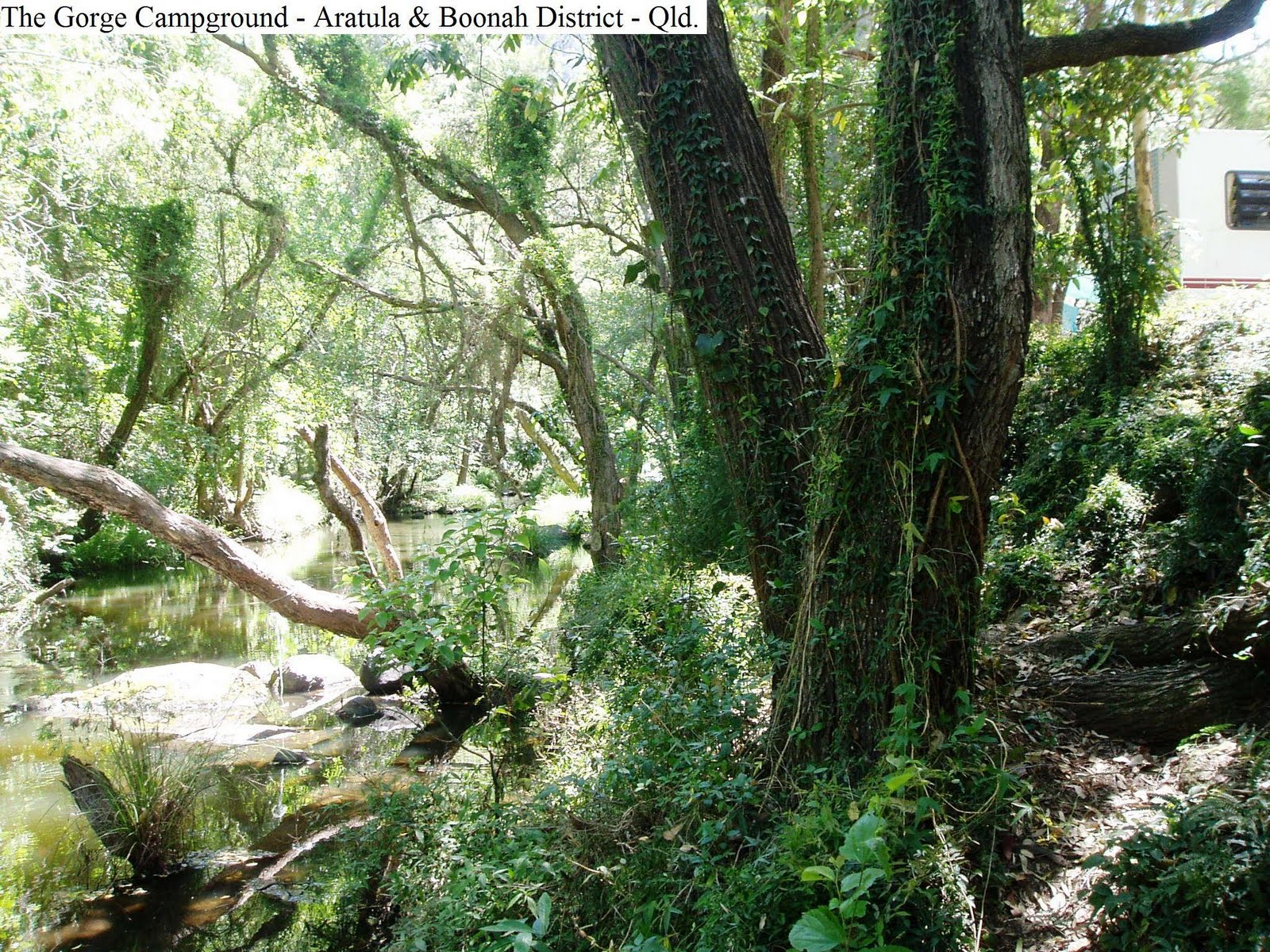 Nannapop Queensland Return to Main Site: 16th November 2008 - The Gorge ...