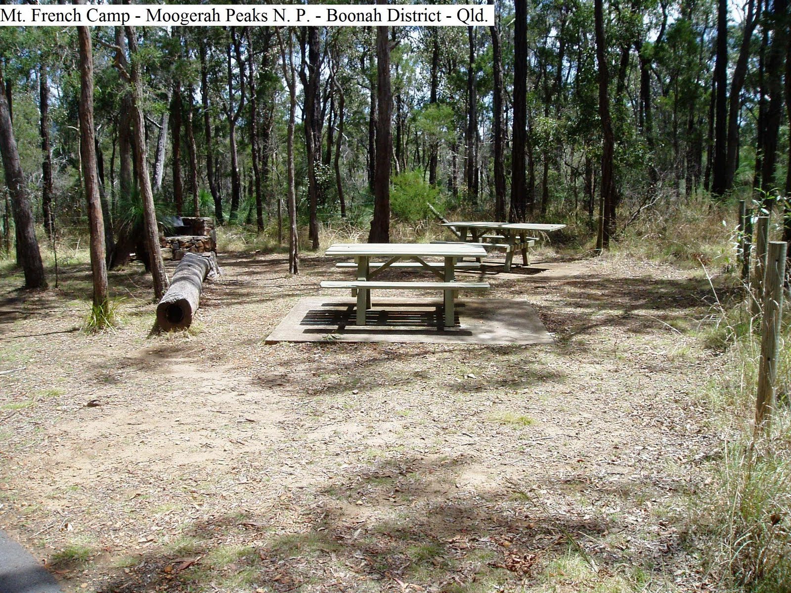 Nannapop Queensland Return to Main Site: 9th November 2008 - Mount ...