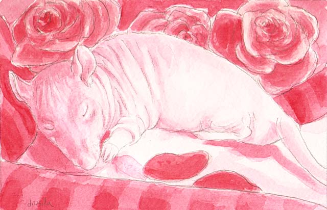 The Art of The Illustrated Rat: Pink Rat Study for the NFAC