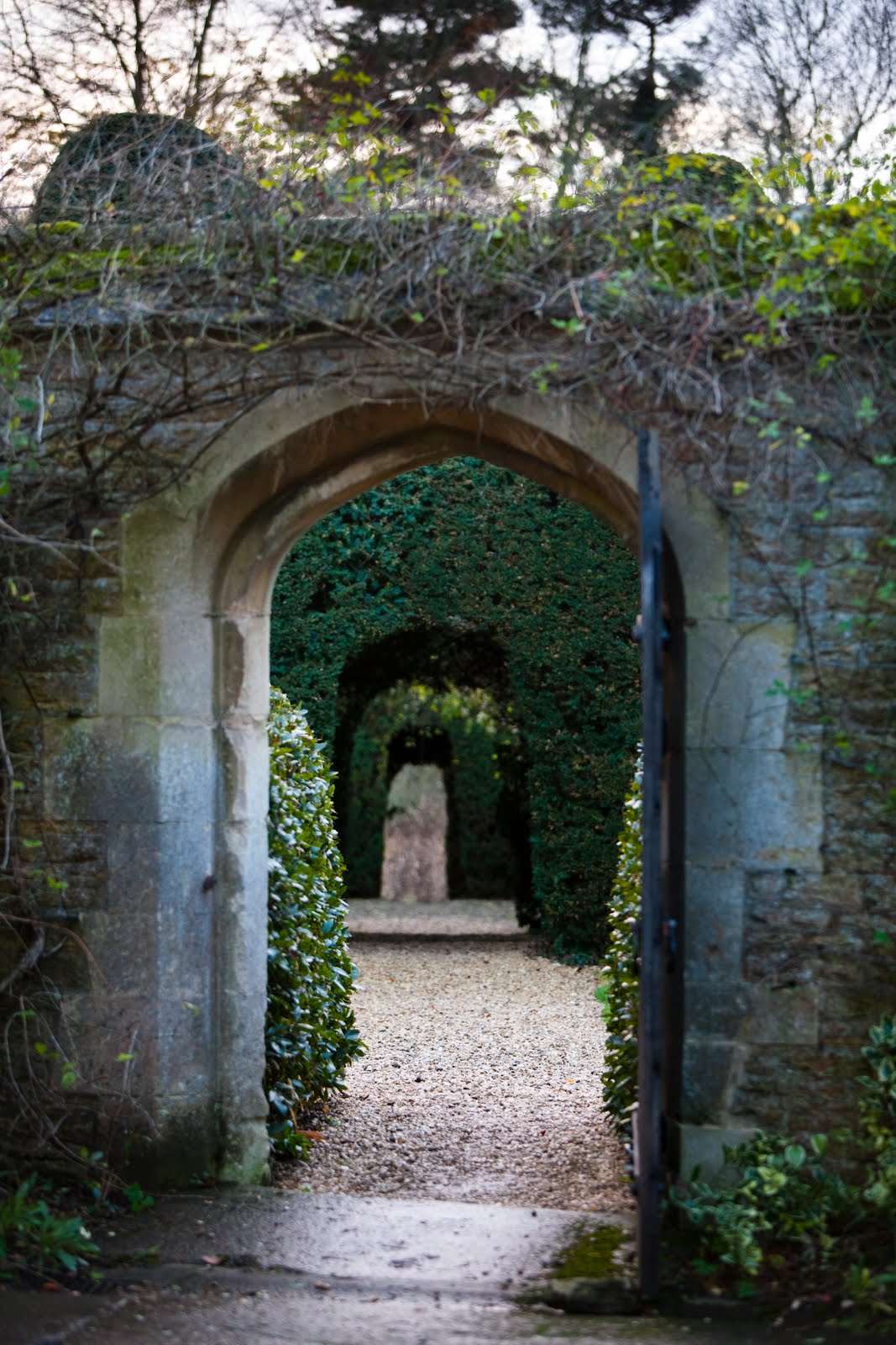 Steve & Liz Reformation Photo Blog!