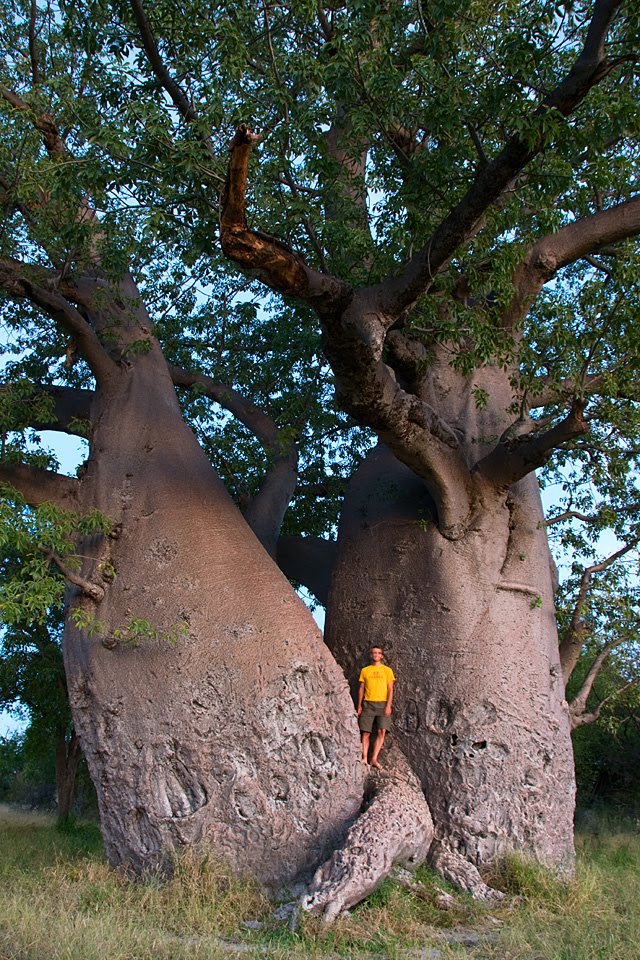 Wanderlust: A Global Odyssey by Matt Prater: Namibia, Land of Extremes