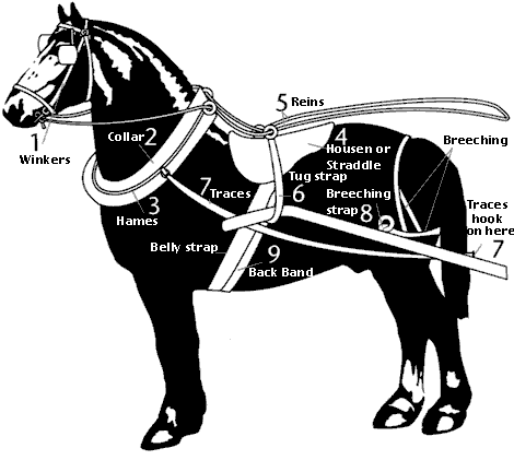 We Love the Prairie Primer