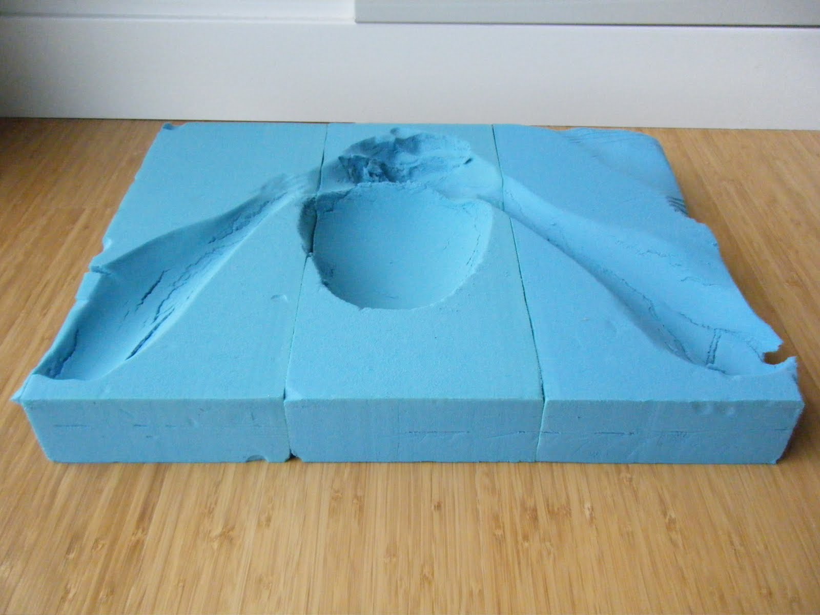 Exploration 2010: Impression Foam Close-Ups