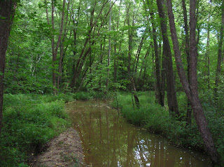 Oh To Be Hiking!: Ticked Off in Amelia WMA!