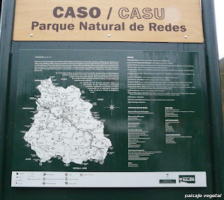 Paisaje vegetal: Parque Natural de Redes - Centro de Interpretación.