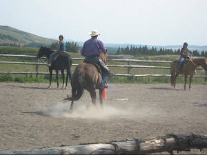 Canadian Horse Business Reviews: TWIN SPRINGS RANCH & EQUESTRIAN CENTRE
