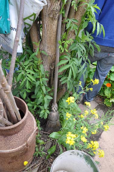 art and etc: sticky beaking...