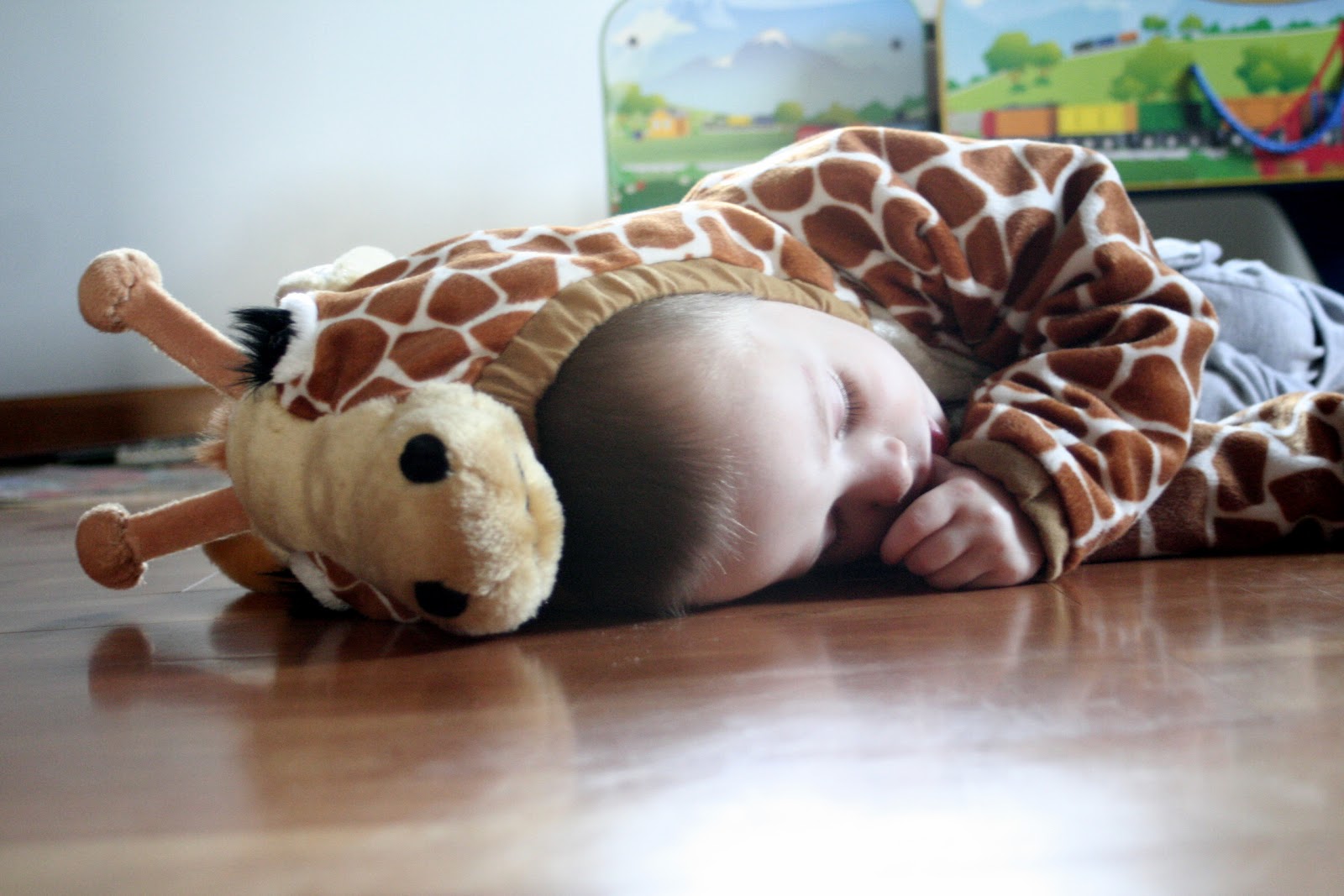 Life on Sylvan Drive: Where Does a Giraffe Sleep?