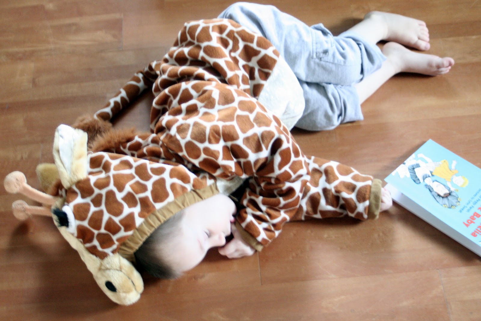 Life on Sylvan Drive: Where Does a Giraffe Sleep?
