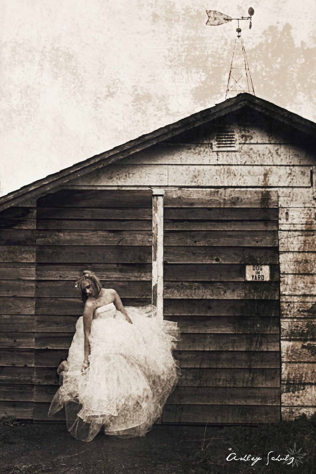 ashley schulz: Julie No.2