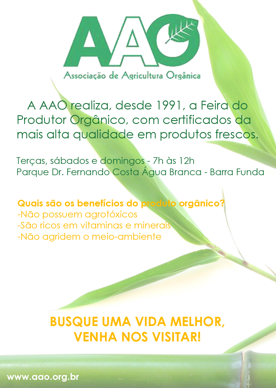 Portfólio na linha: Mídia impressa