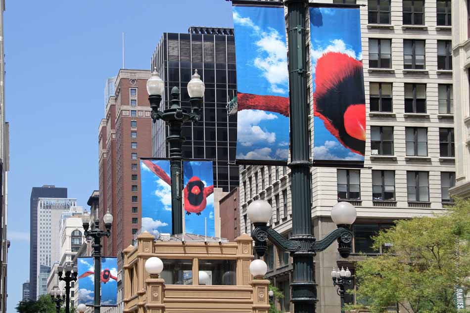 Public Art in Chicago: Eye and Cardinal [By Tony Tasset]