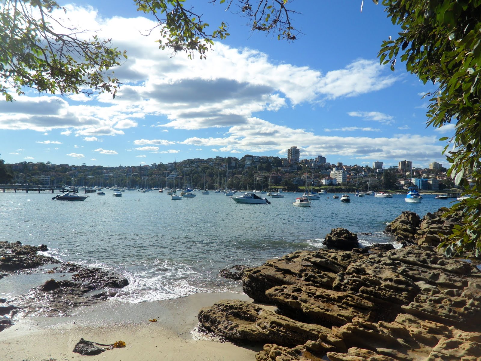 les wallabies de l'ainan: 2ème jour à SYDNEY : Manly Scenic Walk et ...