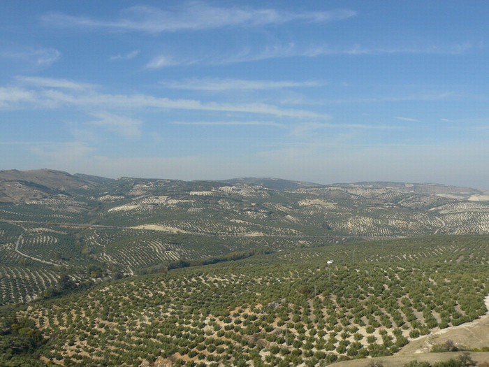 Andalucía, La Ruta del Califato : Apuntes de viaje